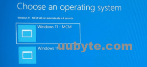 How to Dual Boot (Win11 + Win11 ) on a PC from Two Separate SSDs