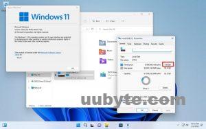 Introduction to Tiny11: A Windows 11 Lite Edition Optimized for Old PCs