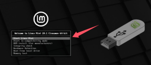 A Simple Way to Create Linux Mint Bootable USB on a PC or Mac